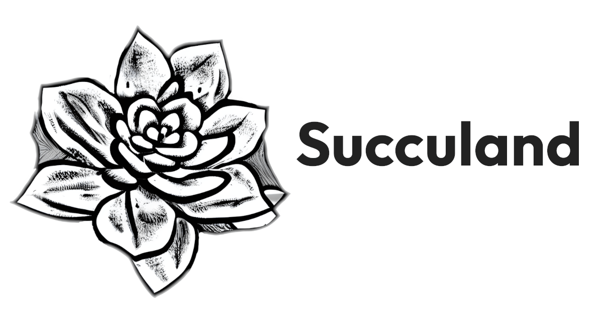 SUCCULENTS - Succuland